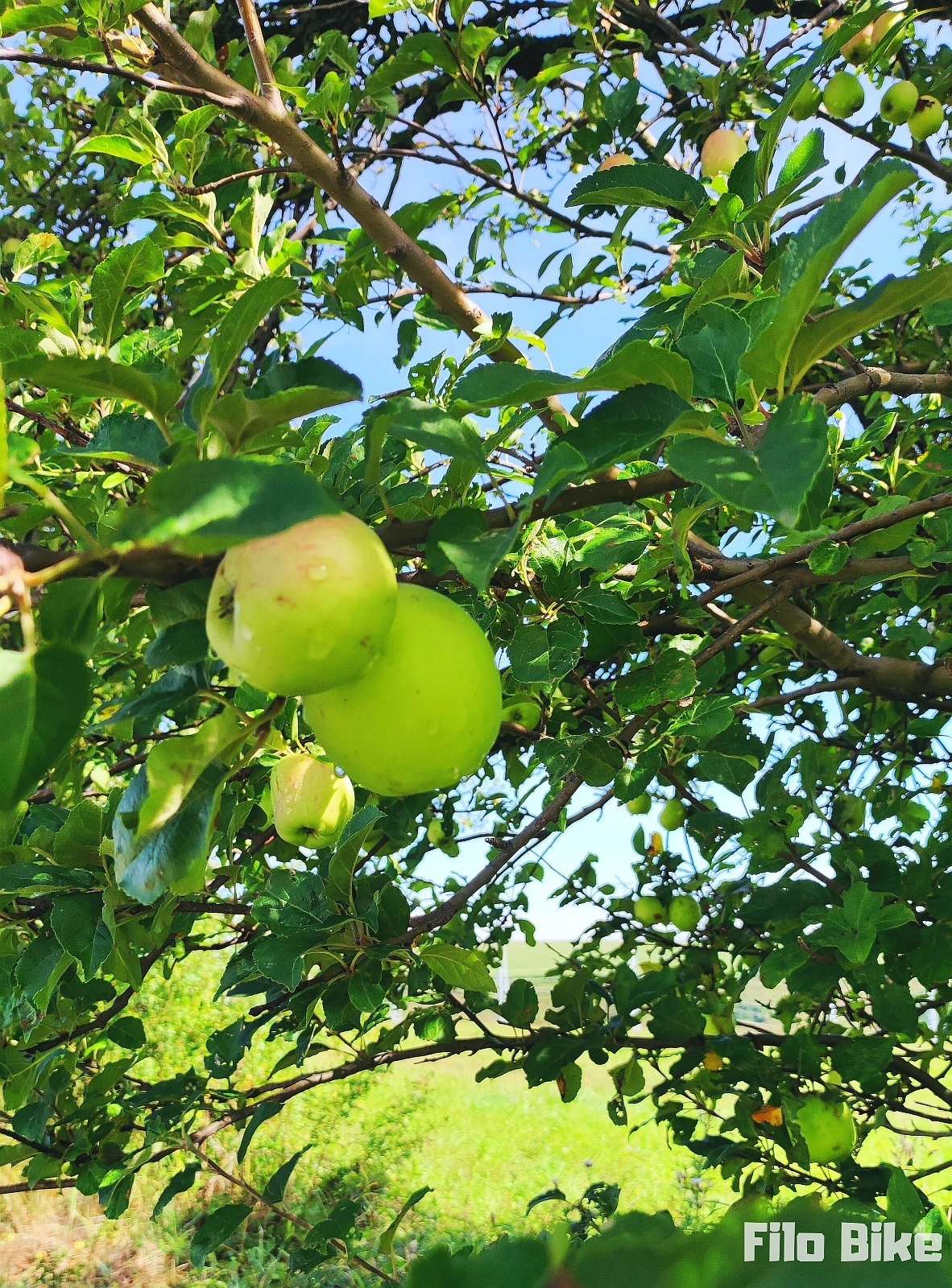 Rowerowy Szlak Wokół Tatr - 300 km górskiej przyrody | Filo Bike